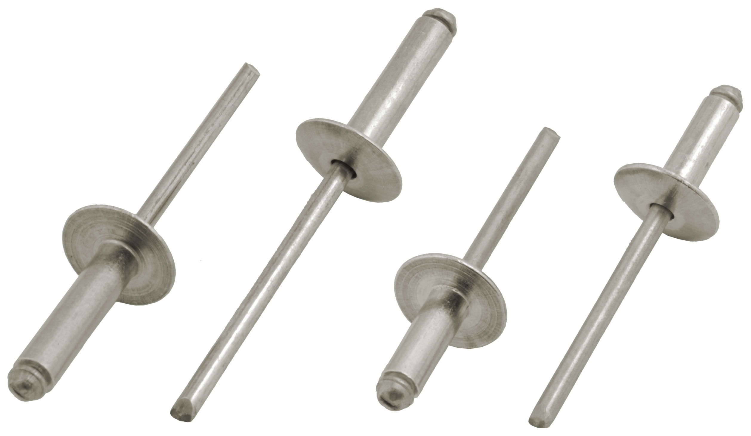 Wide Flange Rivets 4.8 x 22 100/1000
